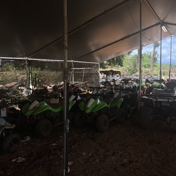 NORTH SHORE STABLES - Updated July 2024 - 478 Photos & 166 Reviews - 67 ...