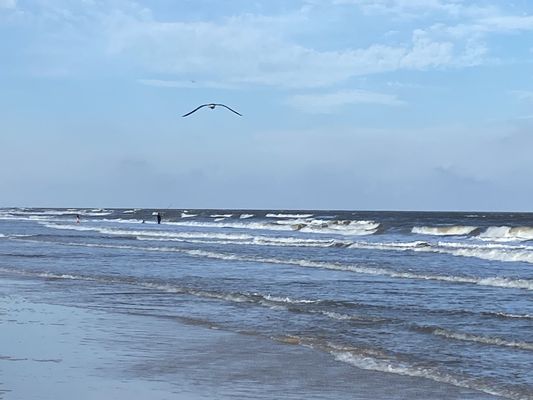MATAGORDA PUBLIC BEACH - Updated May 2024 - 67 Photos & 18 Reviews ...