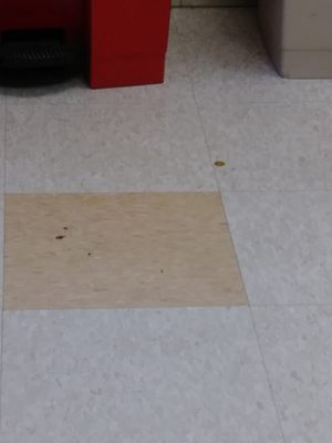 JOHN H STROGER JR HOSPITAL OF COOK COUNTY - Updated October 2025 - 21 ...