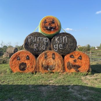 COUNTRY PUMPKINS - Updated January 2026 - 50 Photos & 14 Reviews - 1835 ...