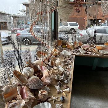 THE SHELL SHOP - Updated September 2024 - 198 Photos & 130 Reviews ...