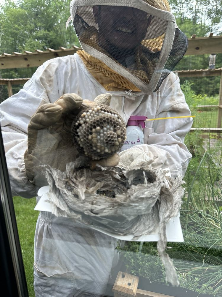 FOX PEST CONTROL - OXFORD - Updated July 2025 - 10 Photos & 122 Reviews ...