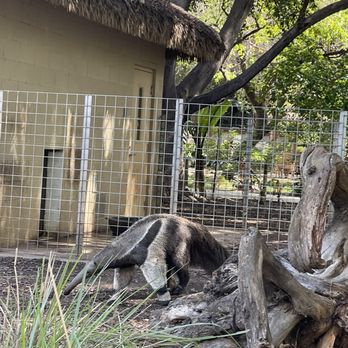 SANTA ANA ZOO - Updated January 2025 - 1477 Photos & 727 Reviews - 1801 ...