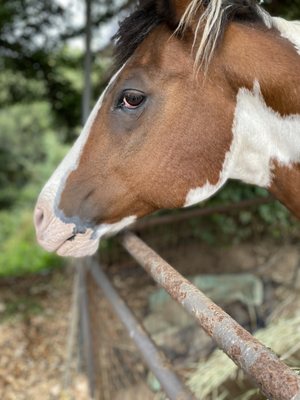 CRYSTAL BAY FARM - Updated August 2024 - 146 Photos & 64 Reviews - 40 ...