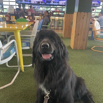 BACKYARD - DESERT RIDGE - Updated July 2025 - 257 Photos & 257 Reviews ...