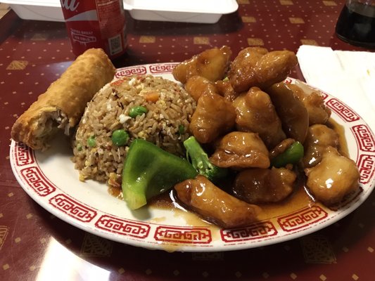 HUNAN EXPRESS - Updated October 2025 - 15 Reviews - 238 S Dirksen Pkwy ...