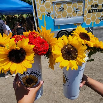 HANA FIELD BY TANAKA FARMS - TEMP. CLOSED - Updated January 2025 - 452 ...