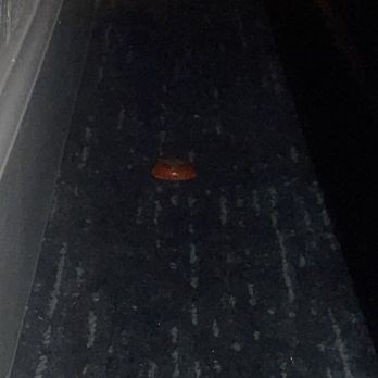 STARGAZER INN & SUITES - Updated September 2025 - 183 Photos & 164 ...