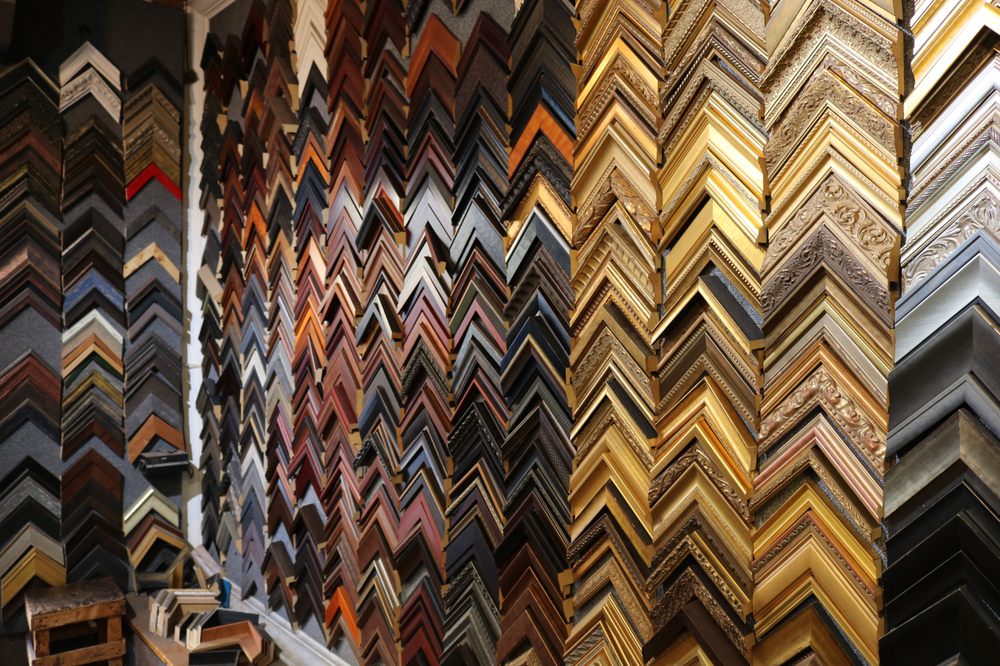 GEORGE STREET CAMERA - Updated July 2025 - 23 Reviews - 344 George St ...