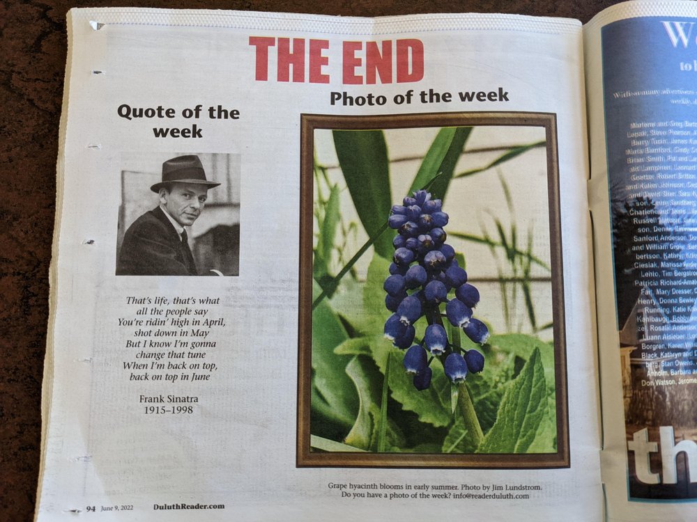 DULUTH READER - Updated September 2025 - Duluth, Minnesota - Print ...