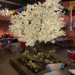 CAFE DEL RIO - Updated June 2025 - 131 Photos & 203 Reviews - 2301 S ...