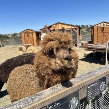 FOX POINT FARMS - Updated June 2025 - 342 Photos & 121 Reviews - 1150 ...