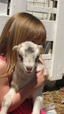 MOON FARM - 28 Photos - 1360 18 1/2 Rd, Fruita, CO - Yelp