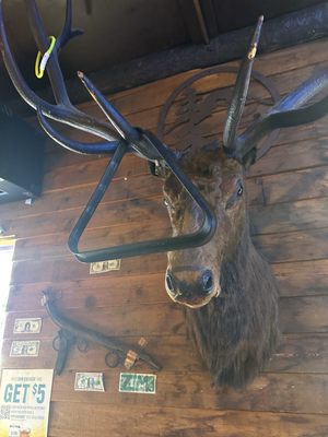 THE ROLLIN LOG TAVERN - Updated January 2026 - 58 Photos & 104 Reviews ...