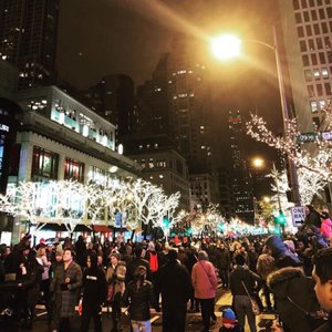 THE MAGNIFICENT MILE LIGHTS FESTIVAL - 45 Photos & 20 Reviews - 625 N ...