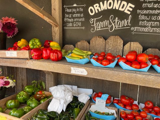 ORMONDE FARM STAND - Updated August 2025 - 33 Photos - 1700 Old Oak ...