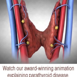 DOUGLAS POLITZ, MD - 2400 Cypress Glen Dr, Wesley Chapel, Florida ...