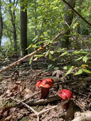 SANDY RUN REGIONAL PARK - Updated September 2025 - 32 Photos - 10450 ...