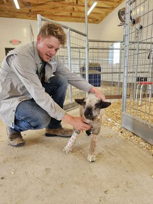 TIMBERVIEW FARMSTEAD - Updated December 2025 - 71 Photos - 4274 ...