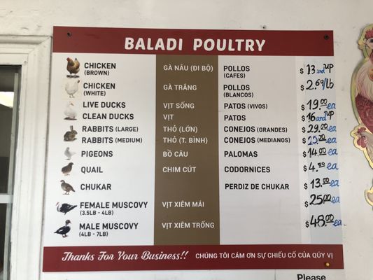 BALADI POULTRY - Updated May 2025 - 42 Photos & 38 Reviews - 8261 Bolsa ...
