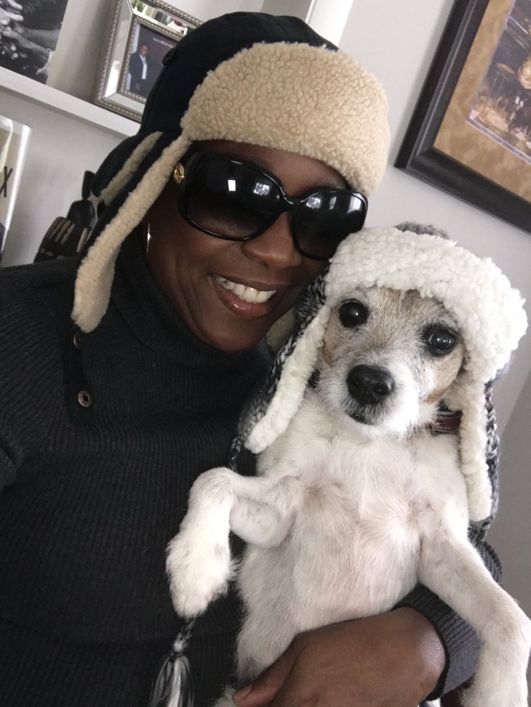 SPRINGFIELD PET RESORT - Updated June 2024 - 5200 Beard Rd N, Street ...