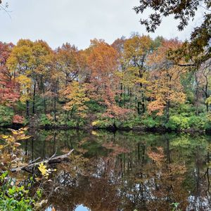 BEE TREE PARK - Updated October 2025 - 54 Photos & 17 Reviews - 2701 ...