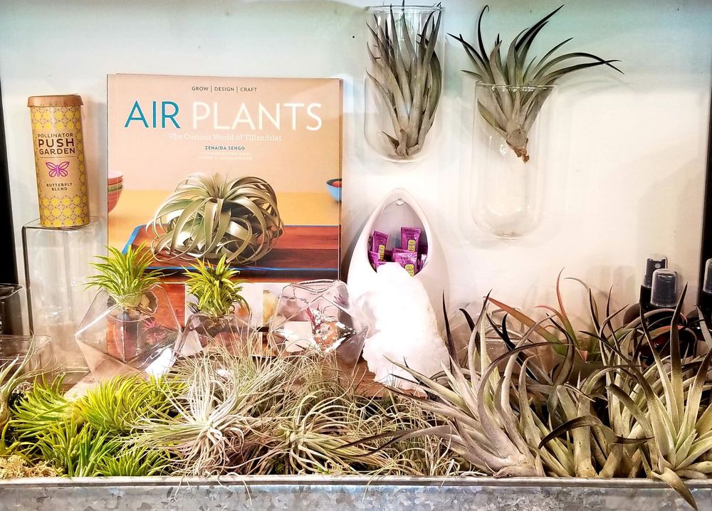 ECOVIBE - Updated July 2024 - 113 Photos & 41 Reviews - 1906 NE Alberta ...