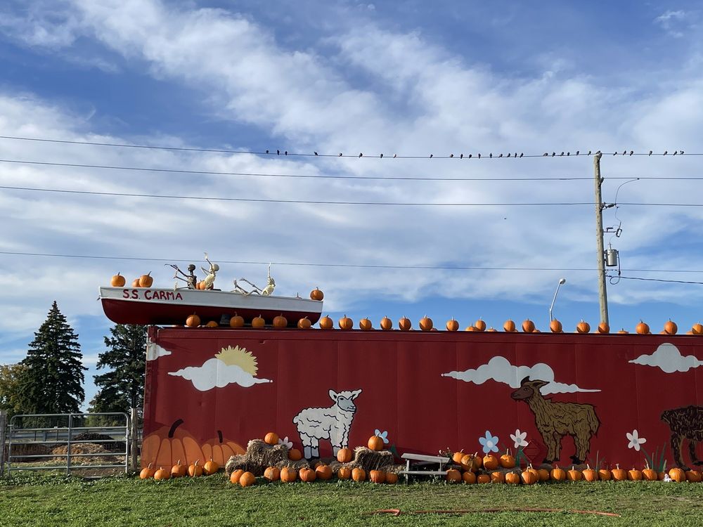 CARMA FARMS - Updated December 2025 - 72 Photos & 19 Reviews - 11471 ...