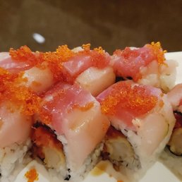 CRYSTAL FISH - 1108 Photos & 1359 Reviews - 514 Lighthouse Ave ...