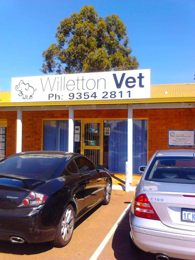 WILLETTON VET - Updated July 2025 - 40-46 Rostrata Ave, Willetton ...