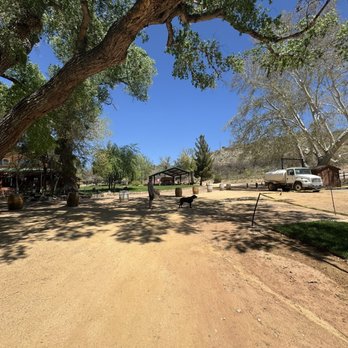 DA RANCH - Updated May 2024 - 253 Photos & 114 Reviews - 1901 N Dancing ...