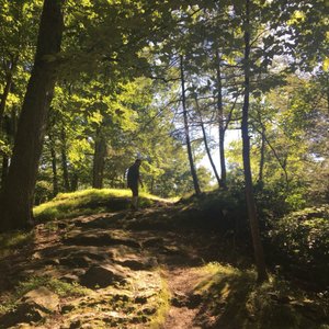 LORIMER PARK - 26 Photos - Montgomery County, Pennsylvania - Hiking ...