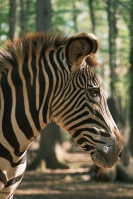 LAZY 5 RANCH - Updated October 2025 - 302 Reviews & 880 Photos - 15100 ...