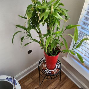 AJ HOUSEWARES & GIFTS - Updated June 2025 - 33 Photos & 33 Reviews ...