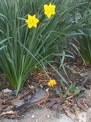 ST ANDREW’S ABBEY - 120 Photos & 24 Reviews - 31001 N Valyermo Rd ...