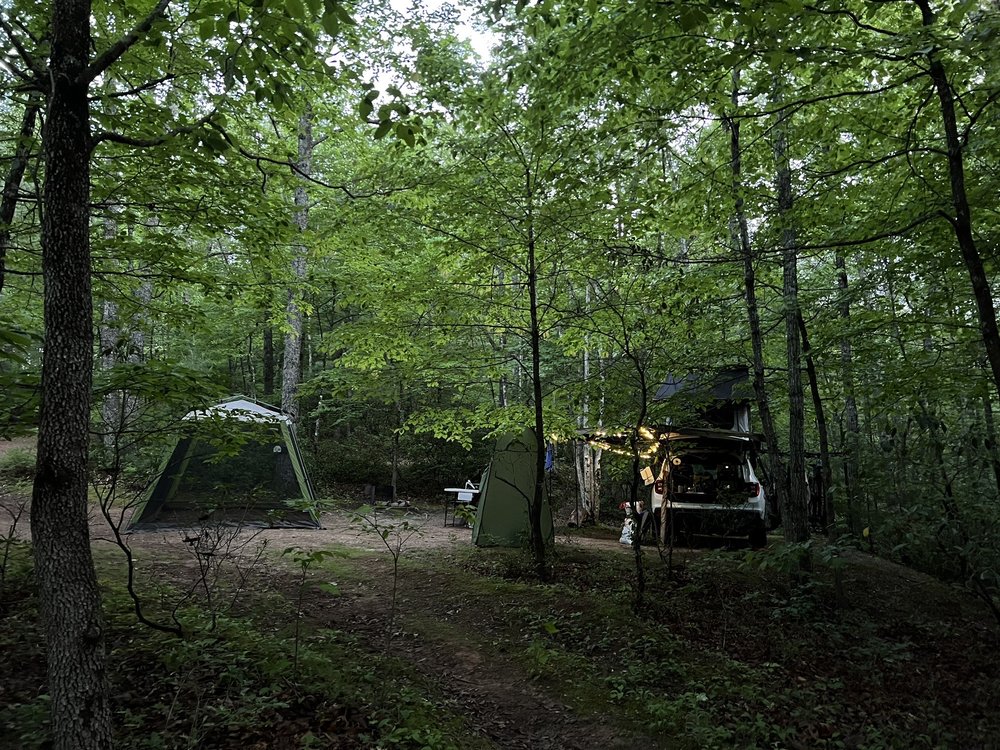 STOKESVILLE CAMPGROUND - Updated December 2025 - 27 Photos - 464 ...