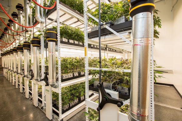 FLORA TERRA - Updated July 2024 - 31 Photos & 46 Reviews - 1825 Empire ...