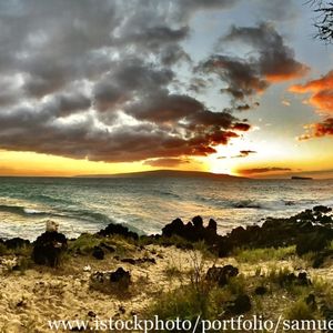 MAUI BEES - 60 Photos & 18 Reviews - Attraction Farms - 150 Pulehunui ...