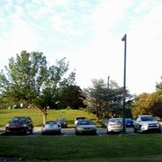 ROSE TREE PARK - 226 Photos & 24 Reviews - Parks - 1671 N Providence Rd ...