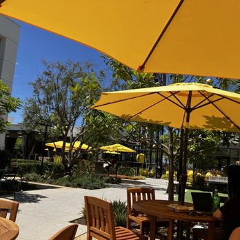 THE ENCLAVE - Updated July 2024 - 245 Photos & 37 Reviews - 970-990 W ...