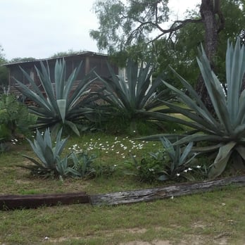 MUSTANG HOLLOW CAMPGROUND - Updated October 2025 - 65 Photos & 11 ...