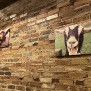 THE ANGRY GOAT PUB & KITCHEN - 128 Photos & 166 Reviews - 2570 ...