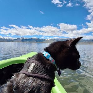 LUNDY LAKE RESORT - Updated August 2025 - 23 Photos - 5109 Lundy Lake ...