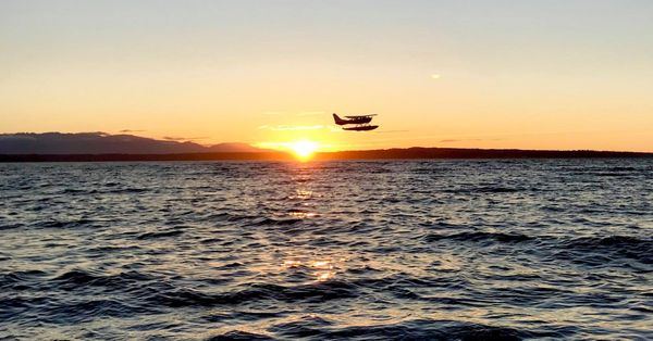 SEATTLE SEAPLANES - 157 Photos & 60 Reviews - 1325 Fairview Ave E ...