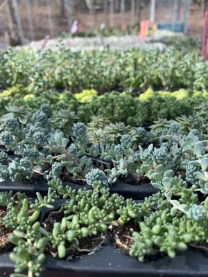 ALLANDALE FARM - Updated October 2025 - 113 Photos & 71 Reviews - 259 ...