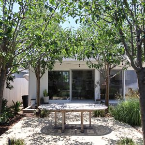 GRUETT TREE - Updated January 2025 - 17 Photos & 42 Reviews - 1204 W ...