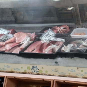 TOKYO FISH MARKET - Updated August 2024 - 1334 Photos & 984 Reviews ...