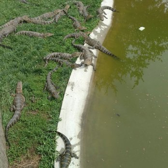 SAFARI NORTH WILDLIFE PARK - Updated October 2025 - 67 Photos & 36 ...