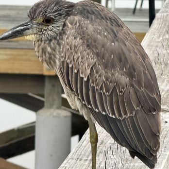 LOW KEY HIDEAWAY - Updated April 2025 - 219 Photos & 95 Reviews - 12050 ...