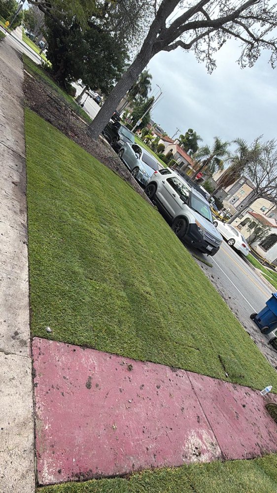 EVERGREEN GARDENING SERVICE - Updated January 2026 - 122 Photos & 34 ...